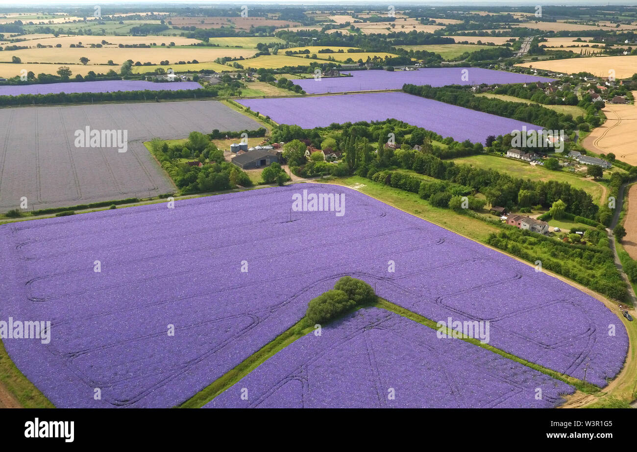 Village feering hi-res stock photography and images - Alamy