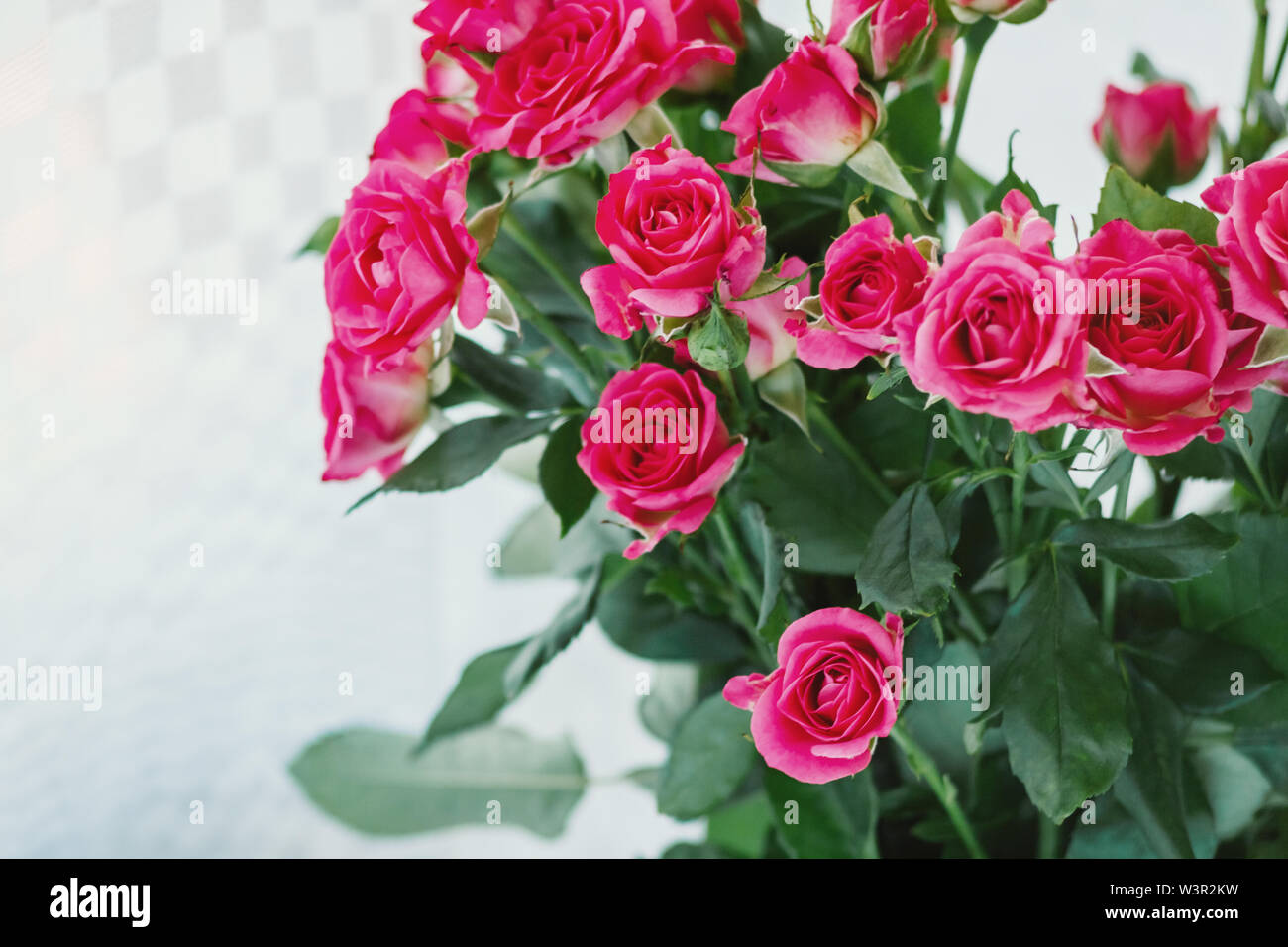 Many little pink roses hi-res stock photography and images - Alamy
