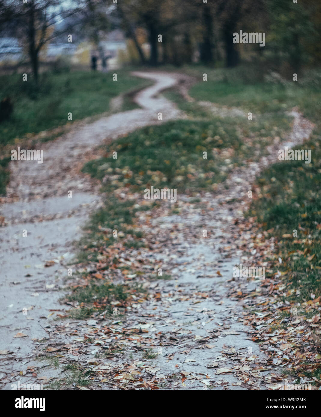 Landscape footpath in the autumn yellow forest. Retro style Stock Photo ...
