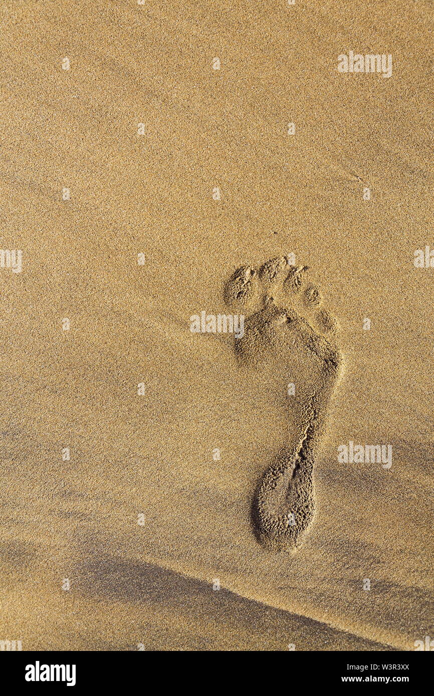 Single human barefoot footprint of right foot in brown yellow sand ...