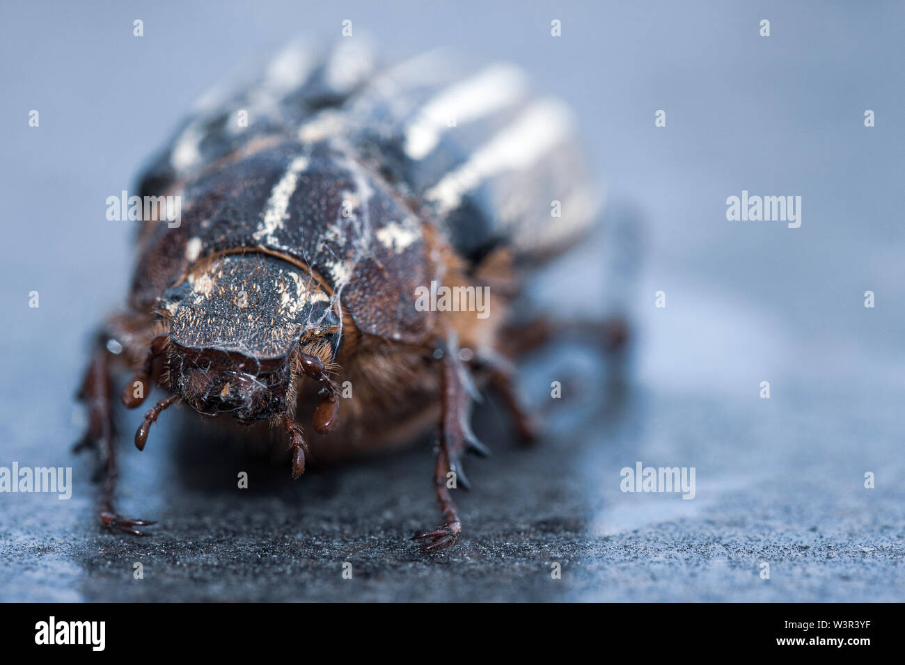 Dramatic Angles High Resolution Stock Photography and Images - Alamy