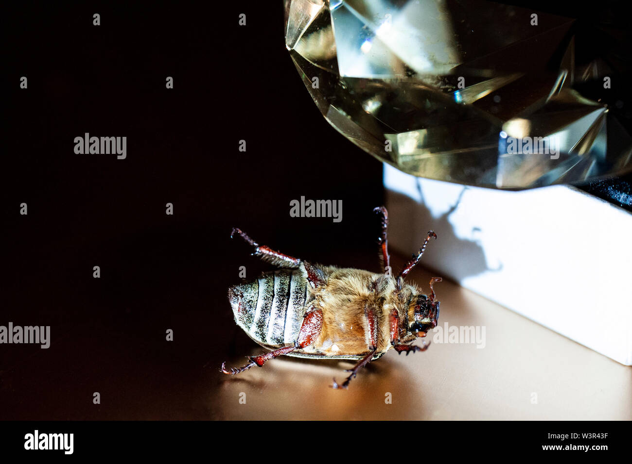 Dramatic Angles High Resolution Stock Photography and Images - Alamy