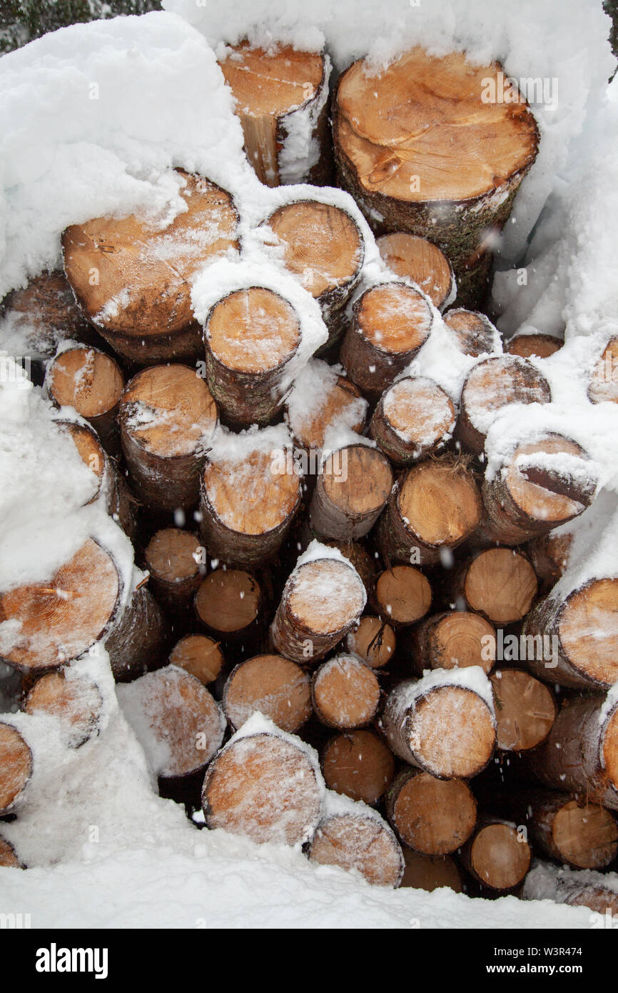 Log pile austria hi-res stock photography and images - Alamy