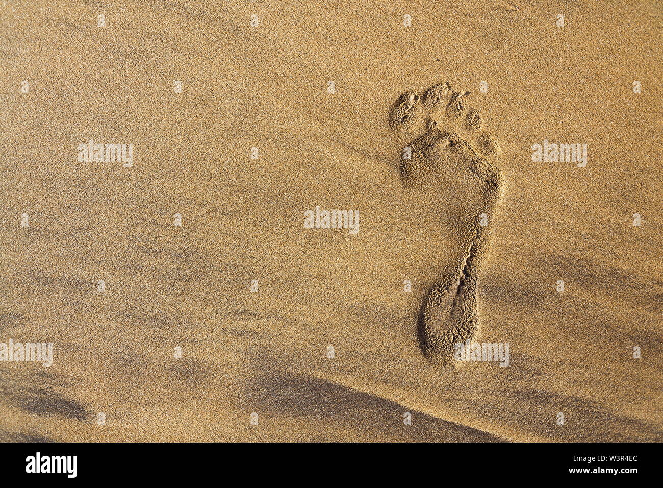 Single human barefoot footprint of right foot in brown yellow sand ...