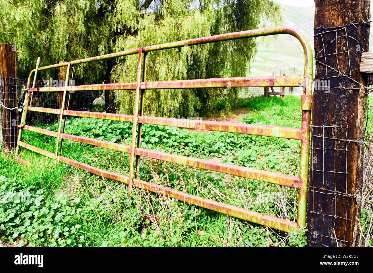 Rusted Green Steel Gate Stock Photo - Alamy