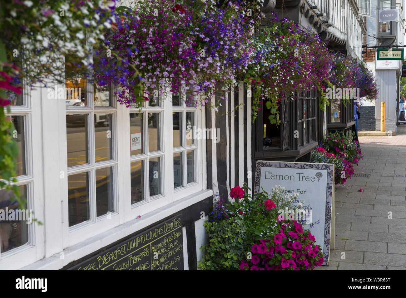 The lemon tree restaurant, tenterden, kent, uk Stock Photo - Alamy