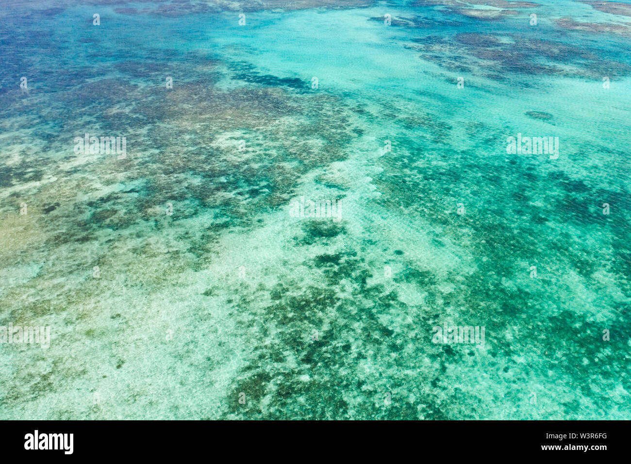 Bright lagoon with clear water and corals, top view. Sea surface above ...