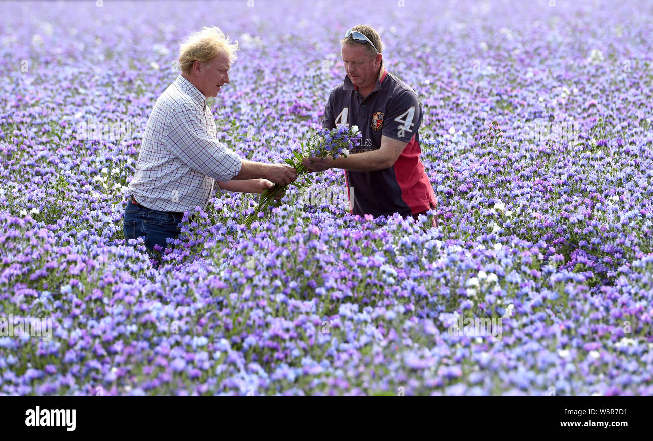 Crayston hi-res stock photography and images - Alamy