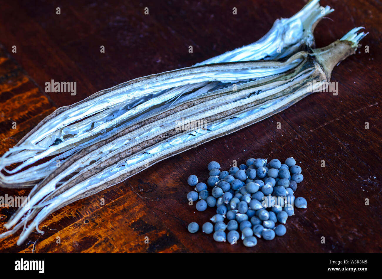 Musk okra hi-res stock photography and images - Alamy