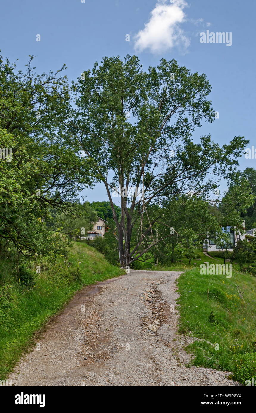 Strong rain hi-res stock photography and images - Alamy