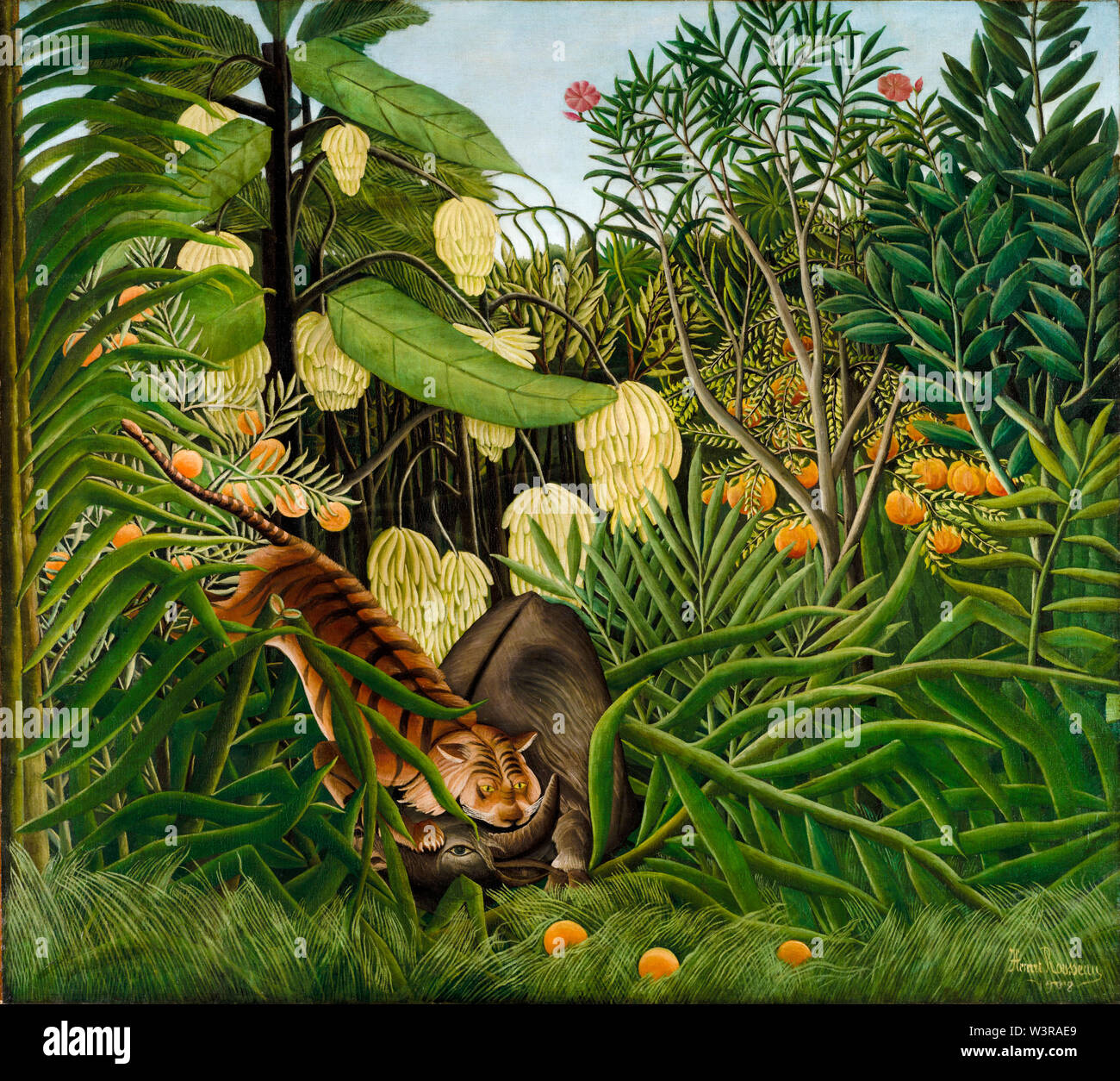 Henri Rousseau Animals Henri Rousseau Animals