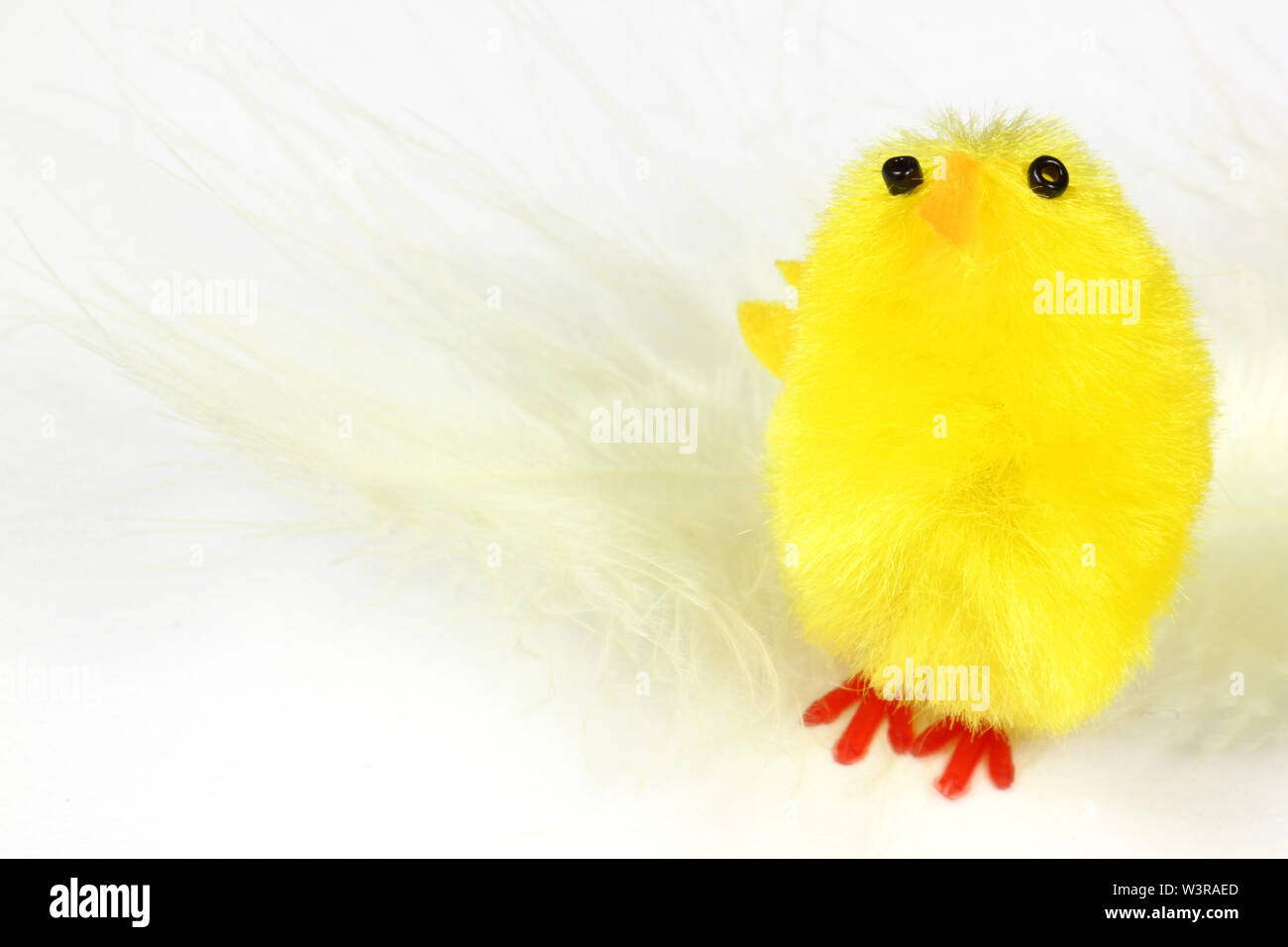 Fluffy Easter chick and soft feather Stock Photo - Alamy
