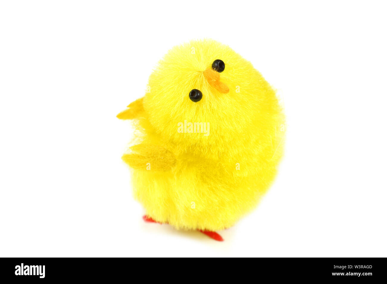 One small cute chick isolated over white Stock Photo - Alamy