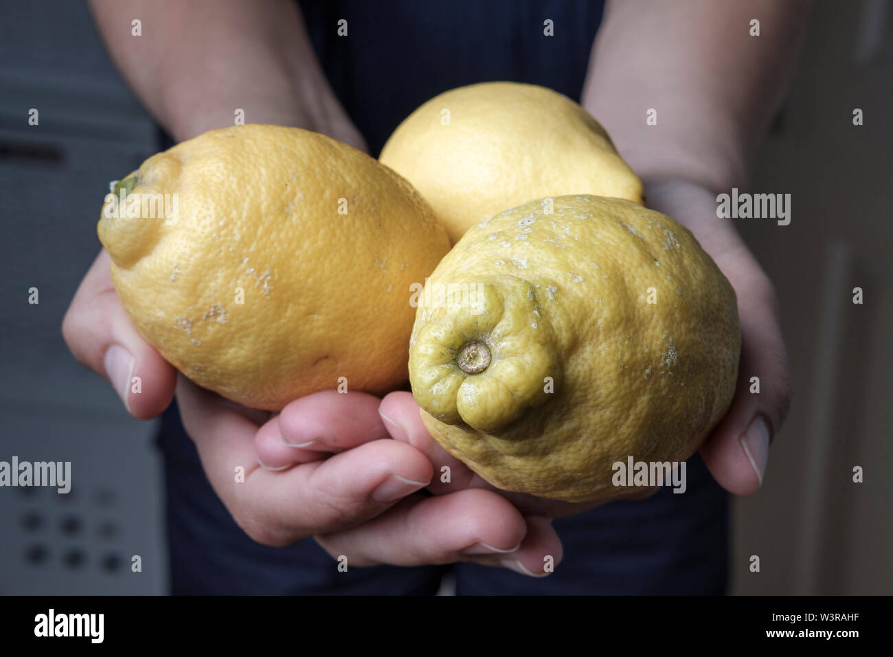 Unwaxed hi-res stock photography and images - Alamy