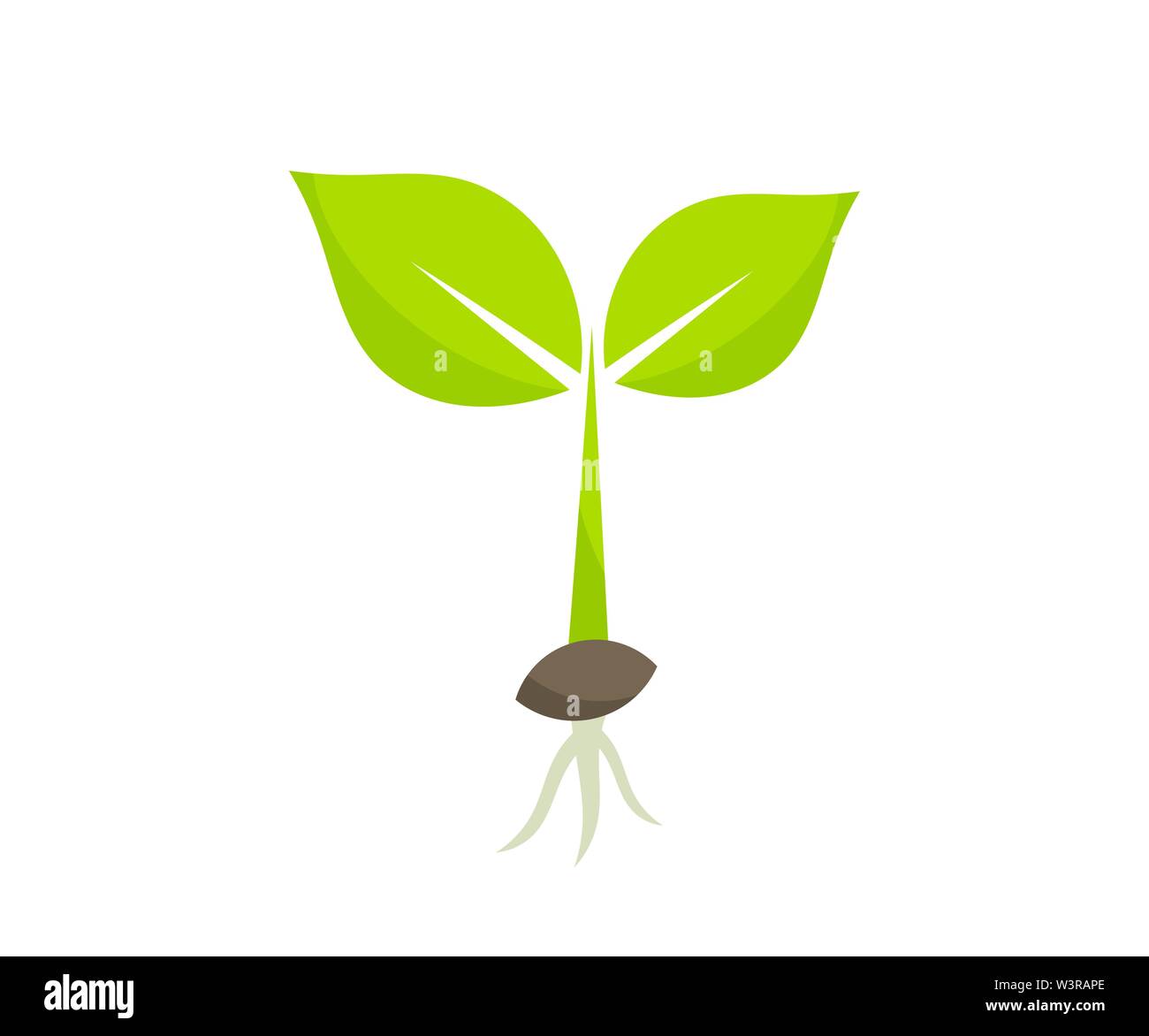Little germinating plant from seed seedling icon. Vector illustration Stock Vector Image & Art ...