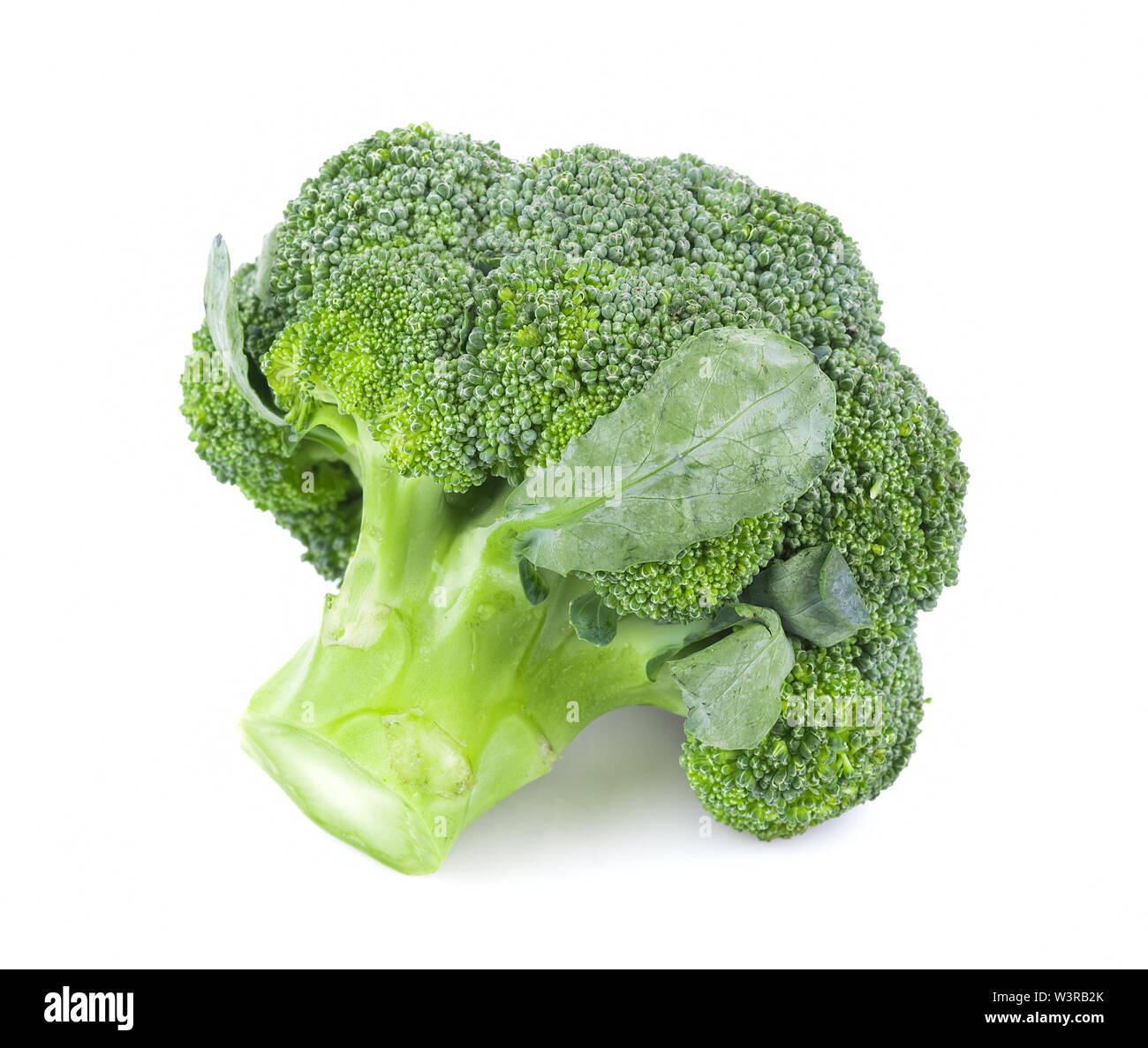 Broccoli isolated on white background Stock Photo - Alamy