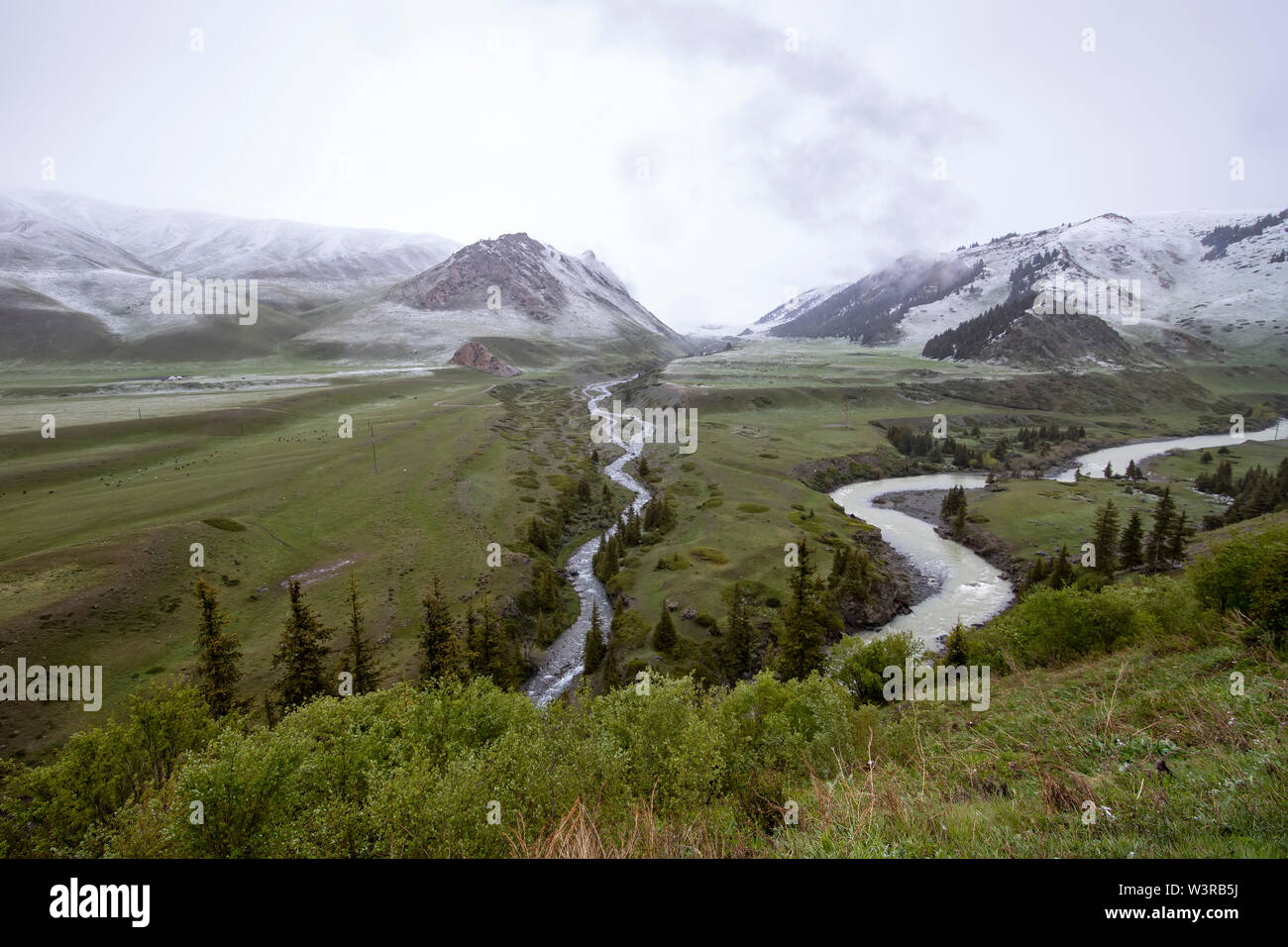 Stream beds hi-res stock photography and images - Alamy