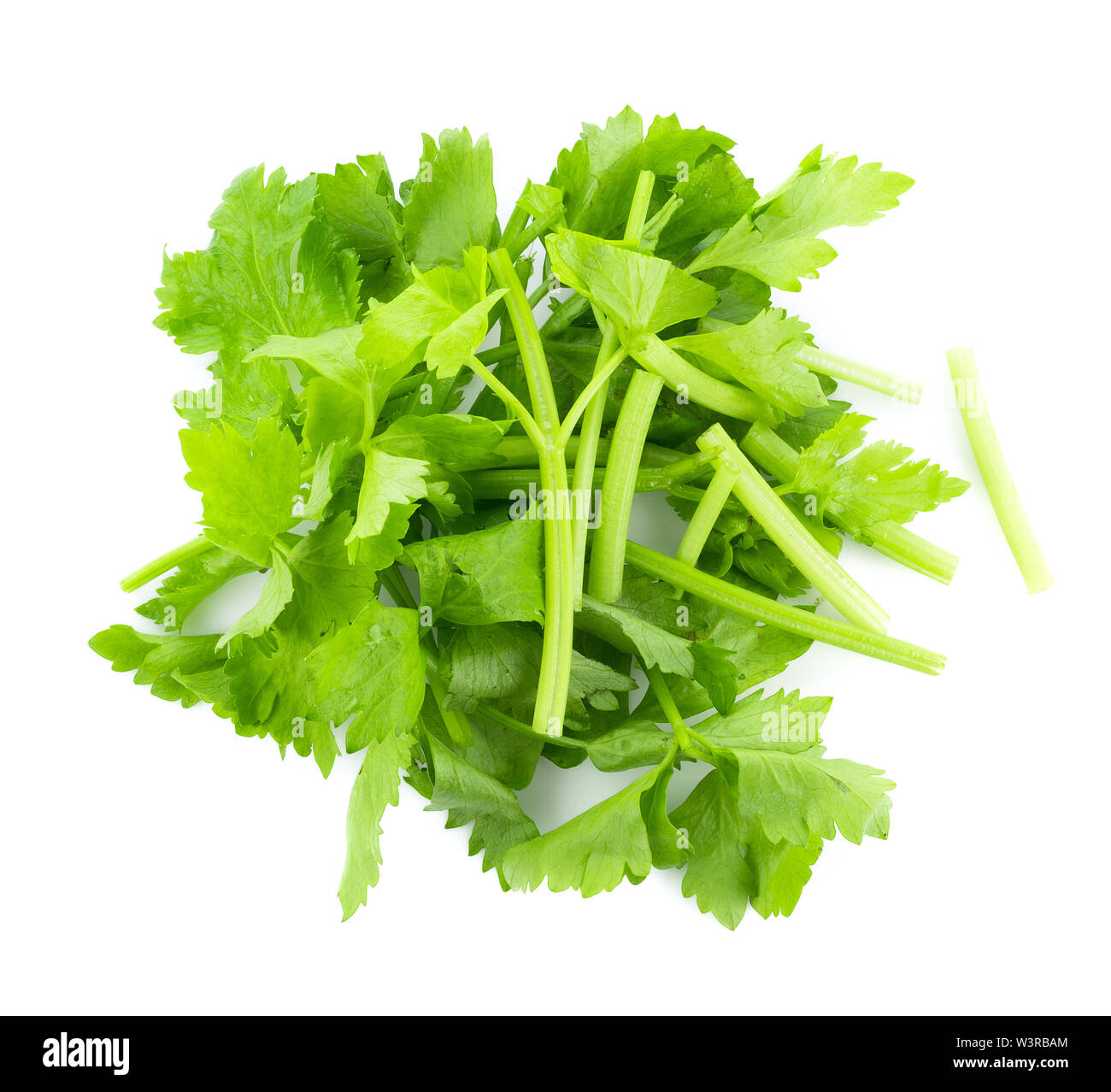 Fresh celery isolated on white background Stock Photo - Alamy