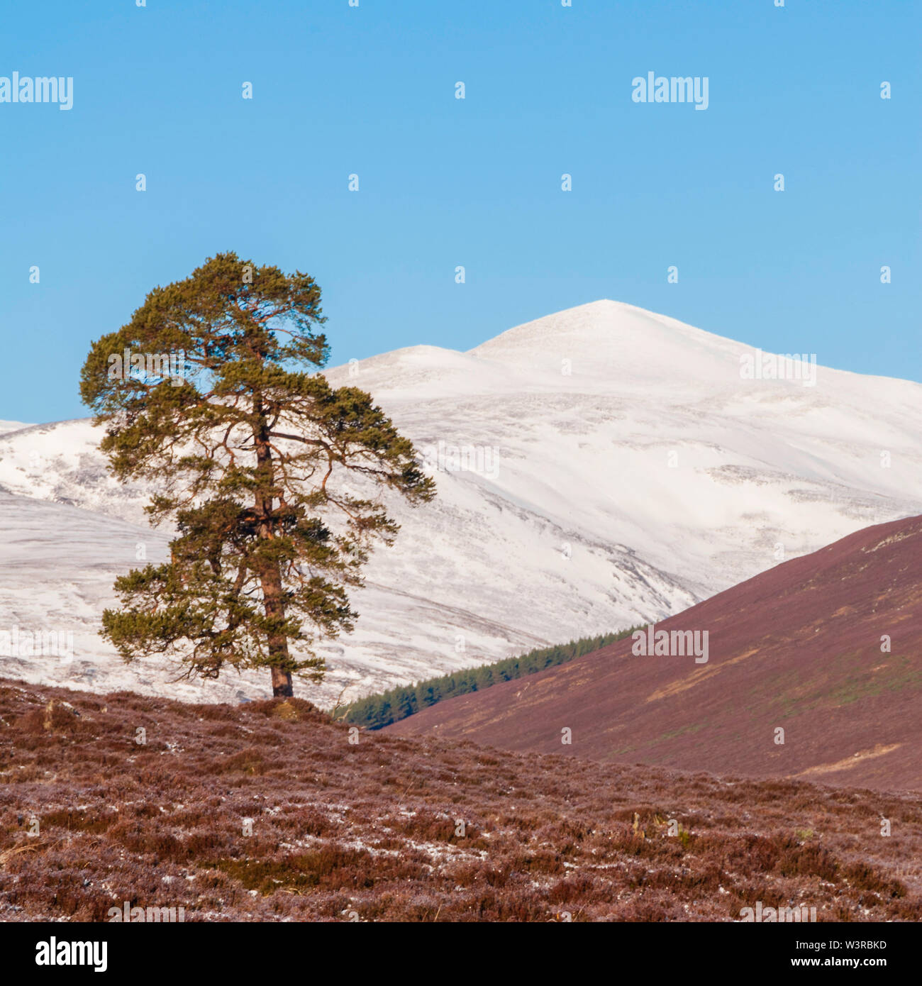 Grampian escocia hi-res stock photography and images - Alamy