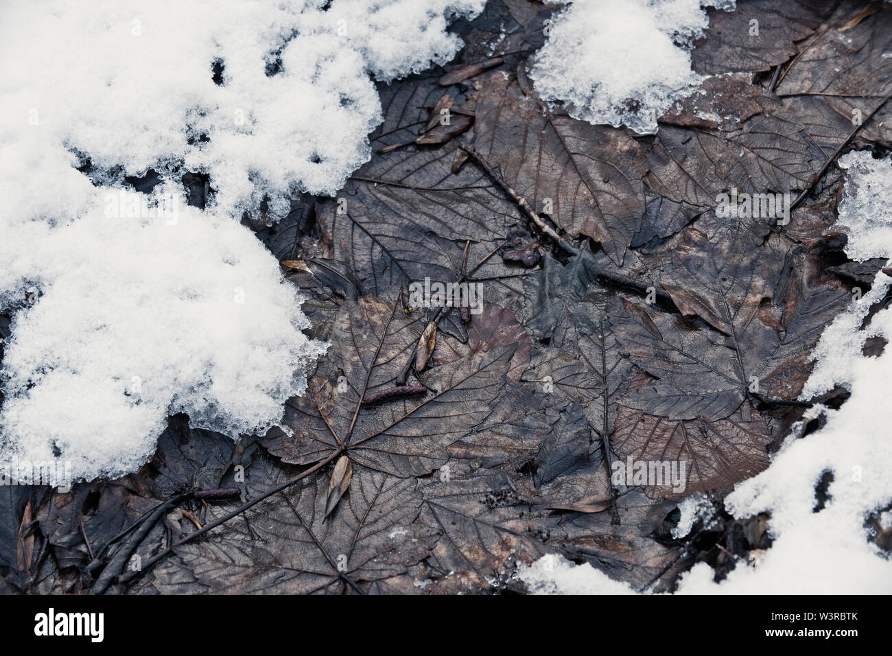 Ive fallen hi-res stock photography and images - Alamy