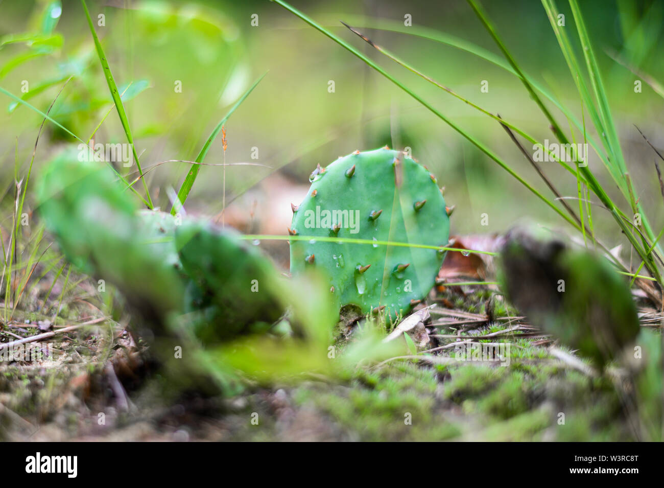 Northwest ohio hi-res stock photography and images - Alamy