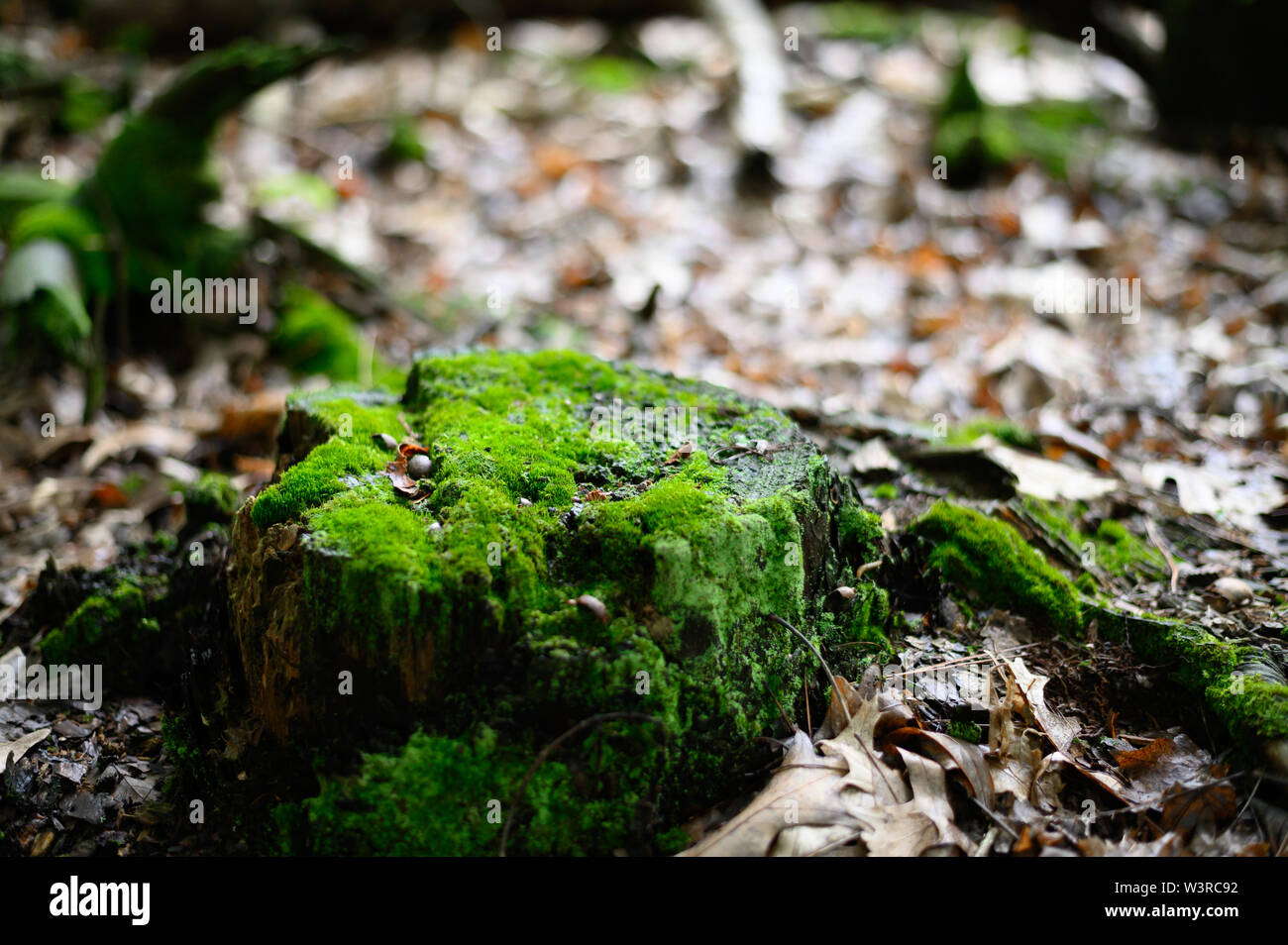 Northwest ohio hi-res stock photography and images - Alamy