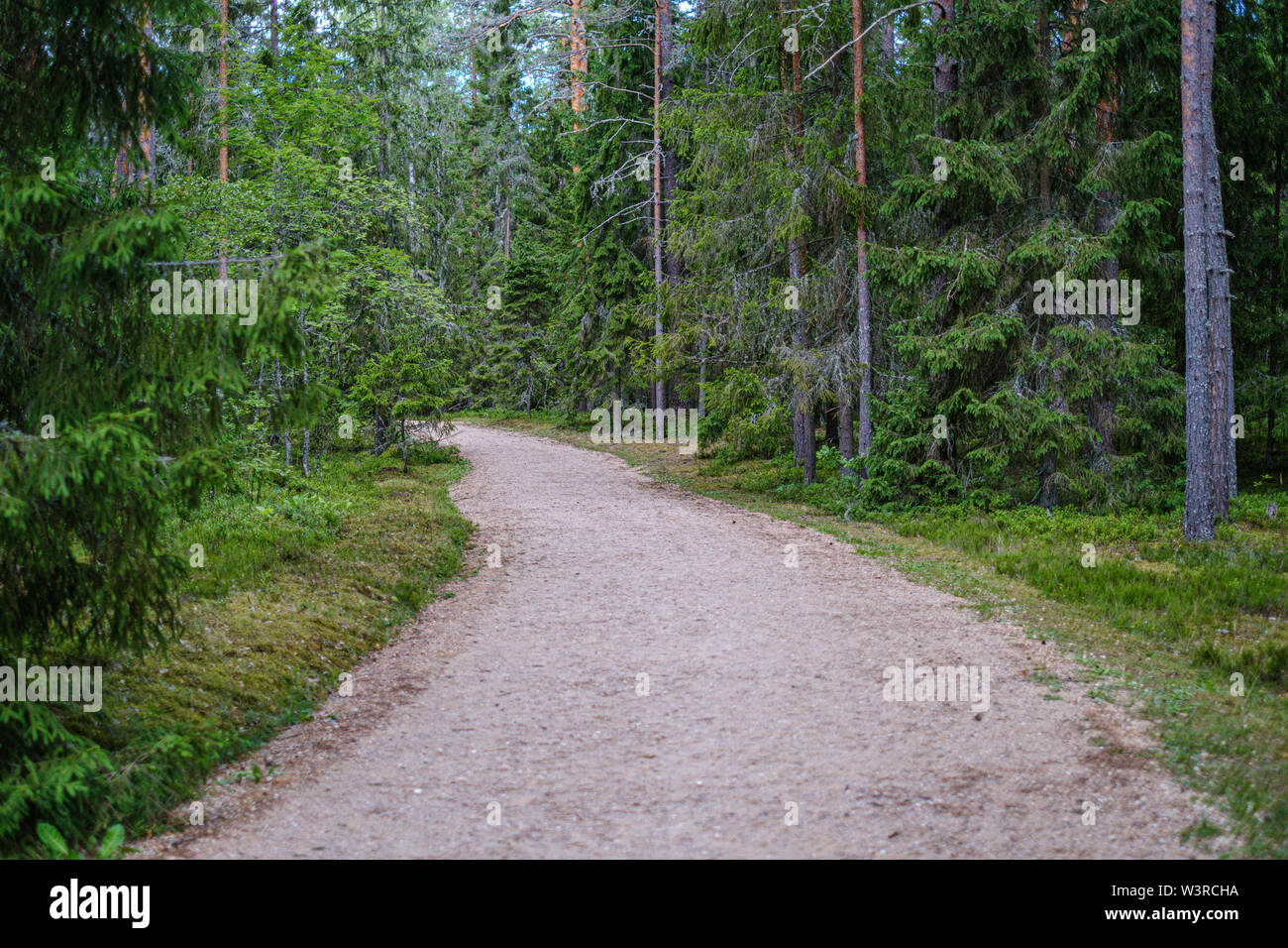 countryside gravel dust road in summer with sand Stock Photo - Alamy