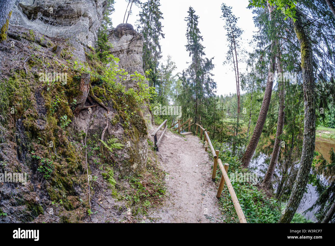 Large sandstone cliffs of Sietiniezis on the shore of the river Gauja ...