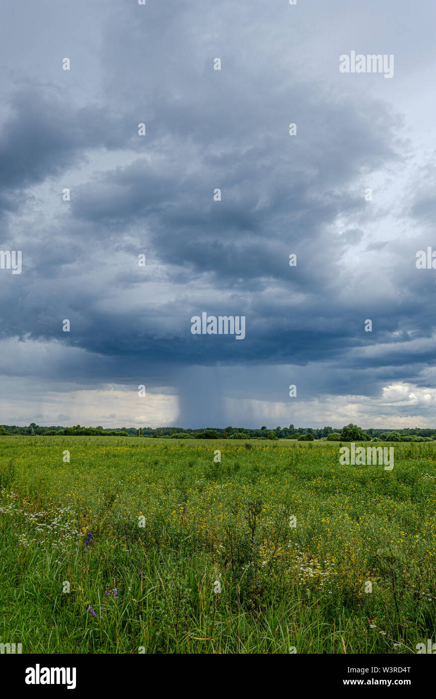 storm rain clouds forming over the countryside fields in green summer ...