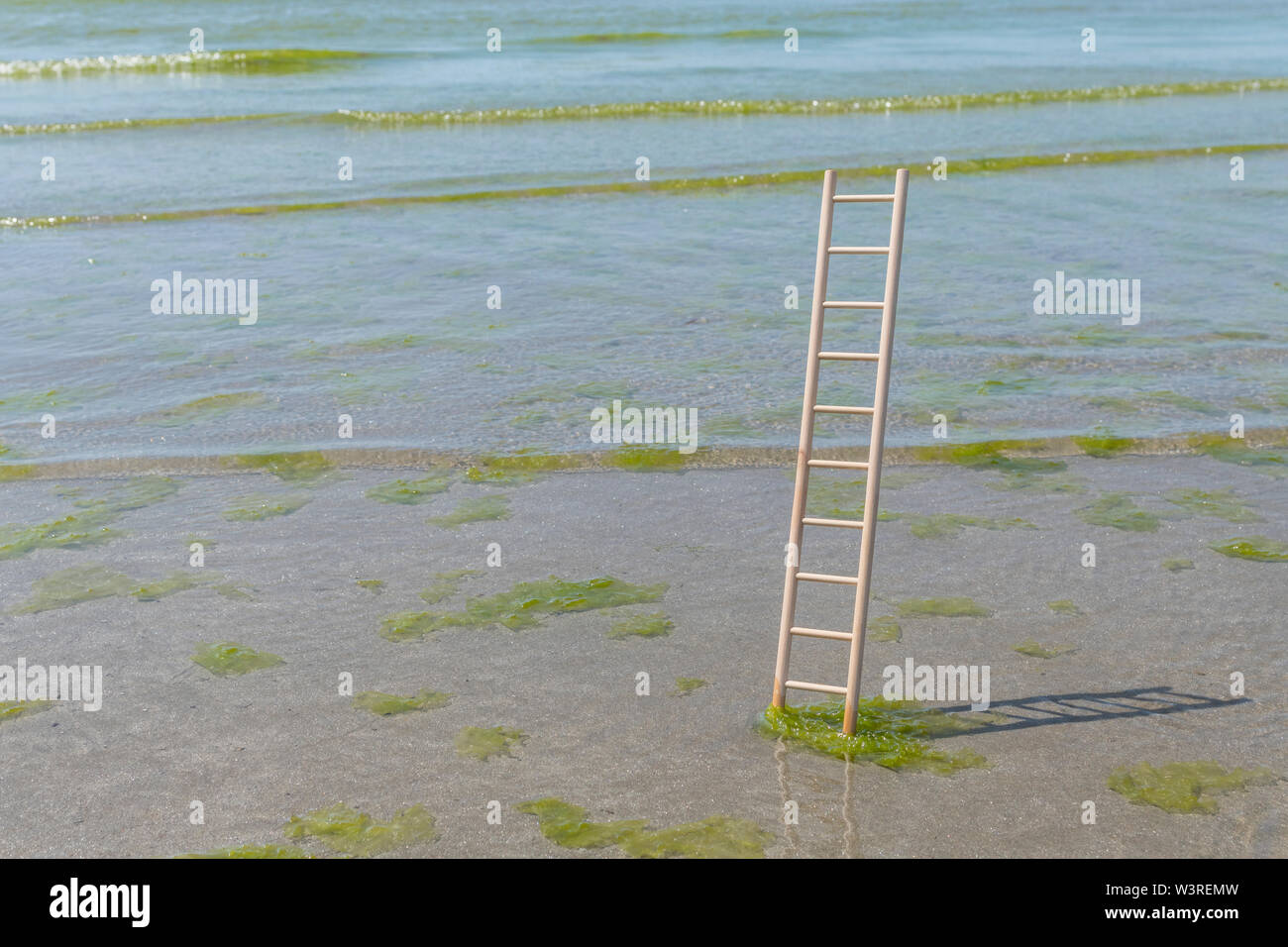 Small wood toy ladder wedged in wet sandy beach. Metaphor climbing ...