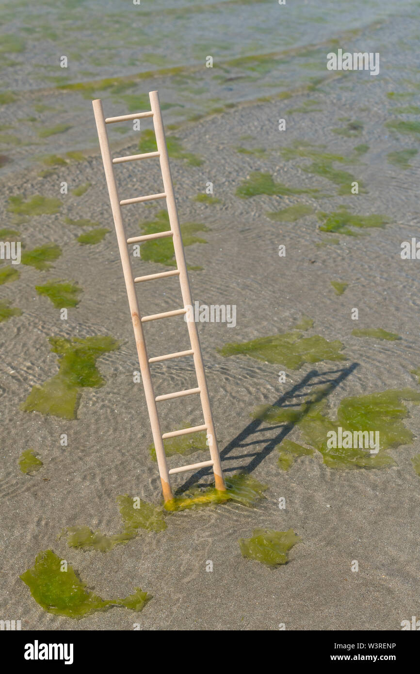 Small wood toy ladder wedged in wet sandy beach. Metaphor climbing ...