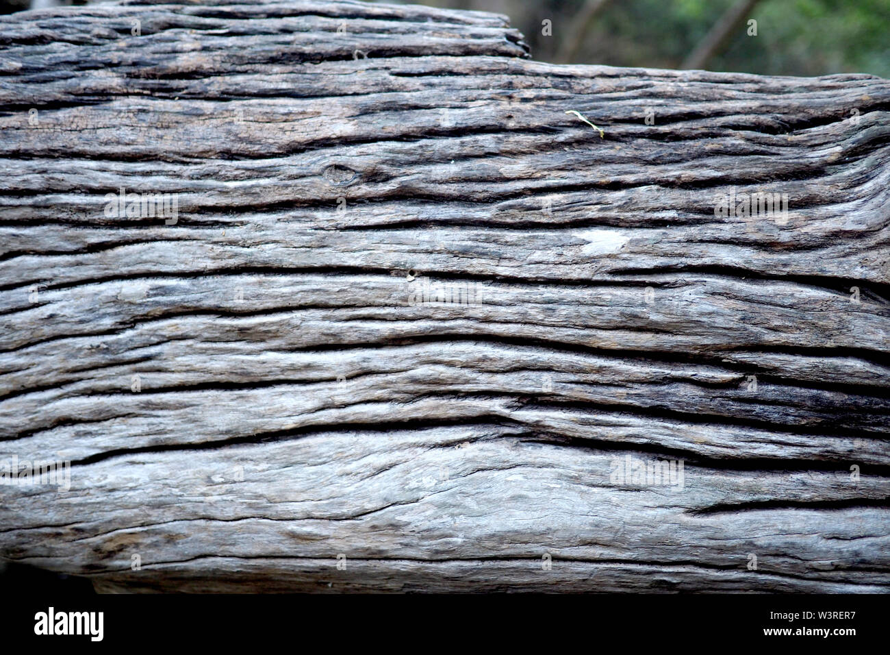 Abstract detail of weathered and worn wood Stock Photo - Alamy