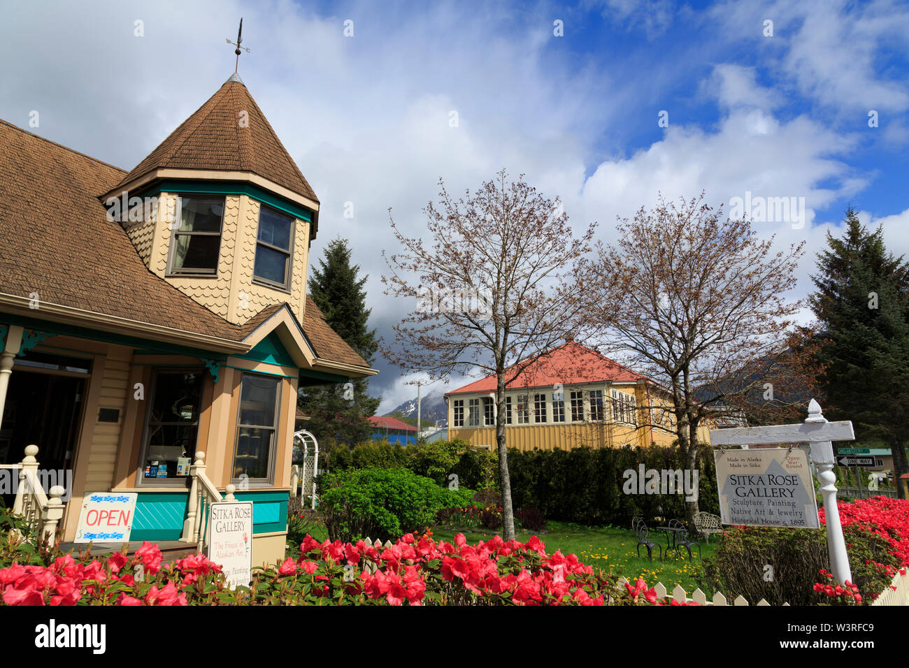 Sitka rose hi-res stock photography and images - Alamy