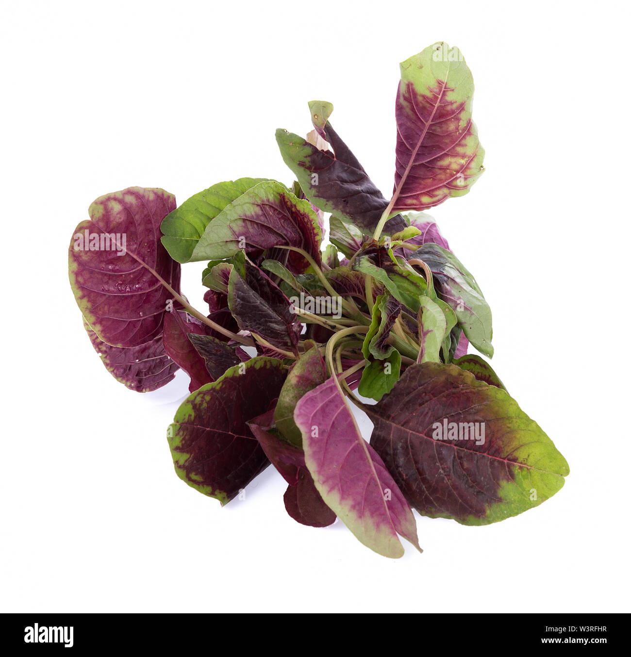 red spinach isolated on white background Stock Photo - Alamy