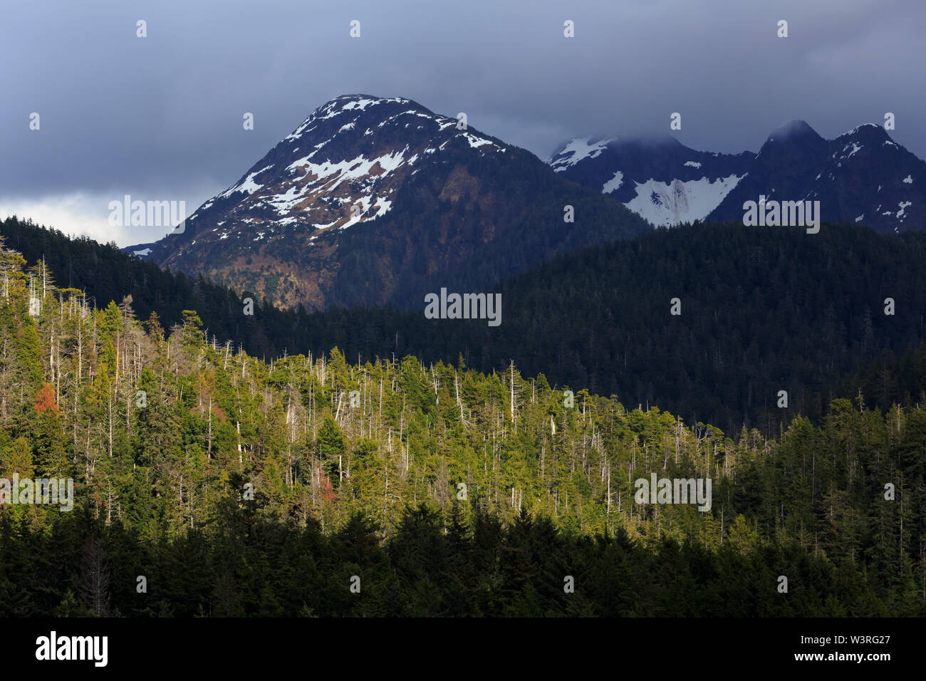 Coastline of Sitka Sound, Sitka, Alaska, USA Stock Photo - Alamy