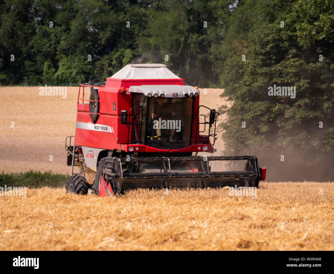 Combine harvester harvesting barley in Great Bardfield Essex UK in July ...