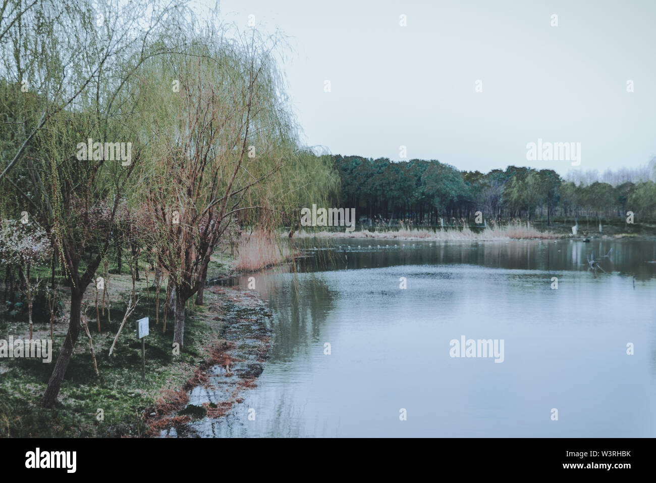 scenes of nature and flora from Gucun Park in Shanghai, China Stock ...