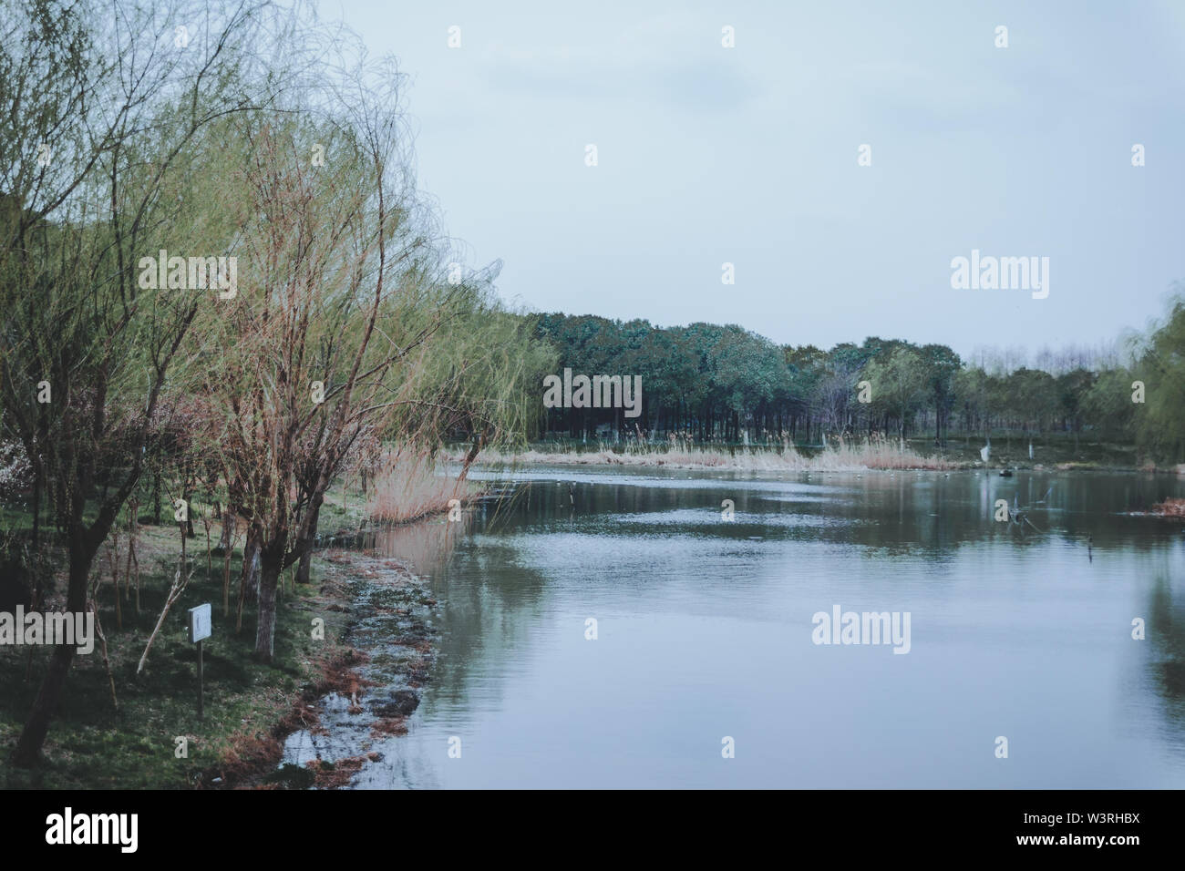 scenes of nature and flora from Gucun Park in Shanghai, China Stock ...
