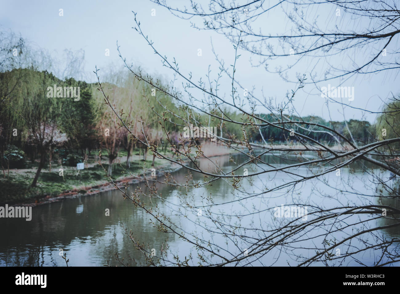 scenes of nature and flora from Gucun Park in Shanghai, China Stock ...