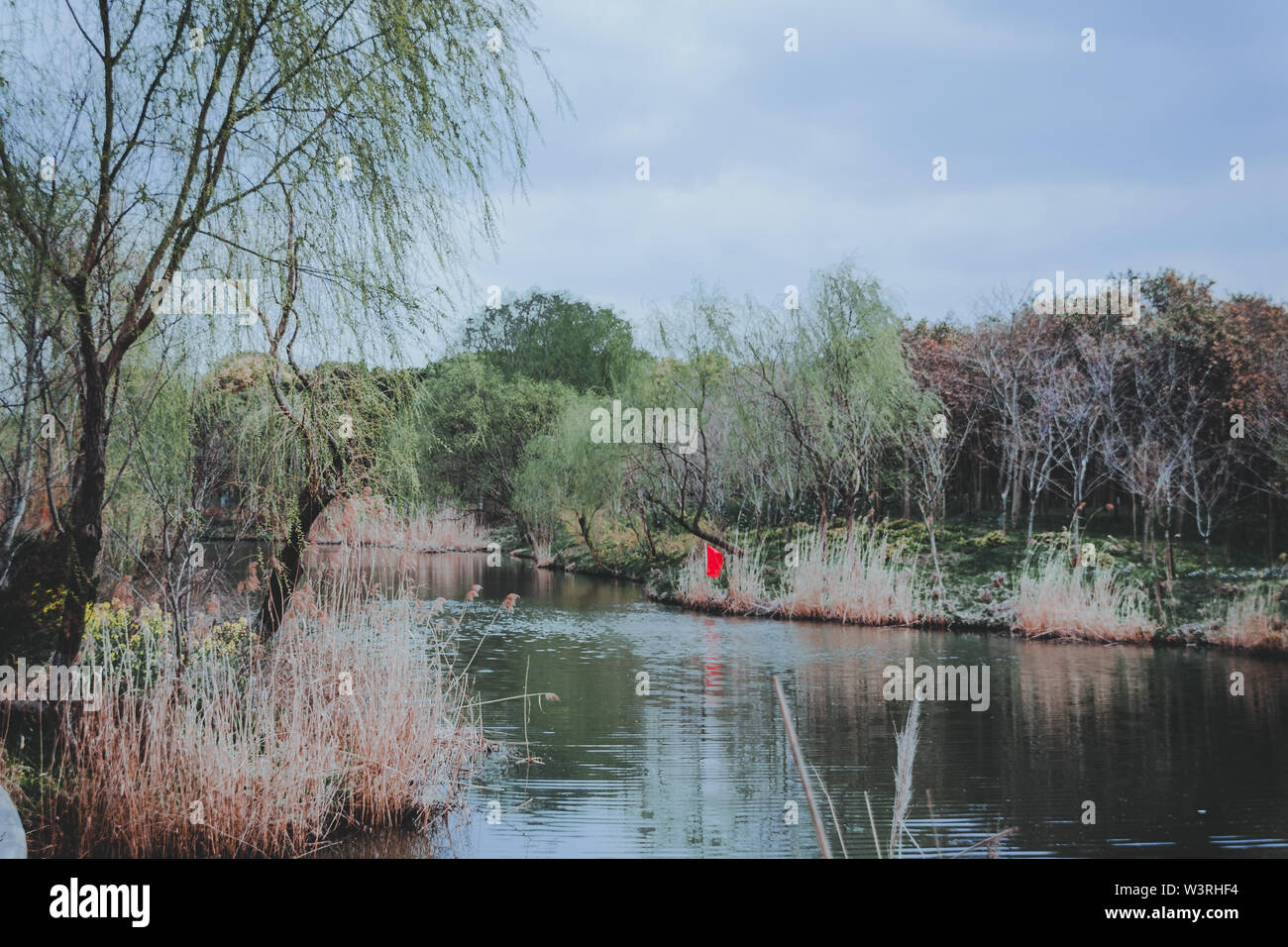scenes of nature and flora from Gucun Park in Shanghai, China Stock ...
