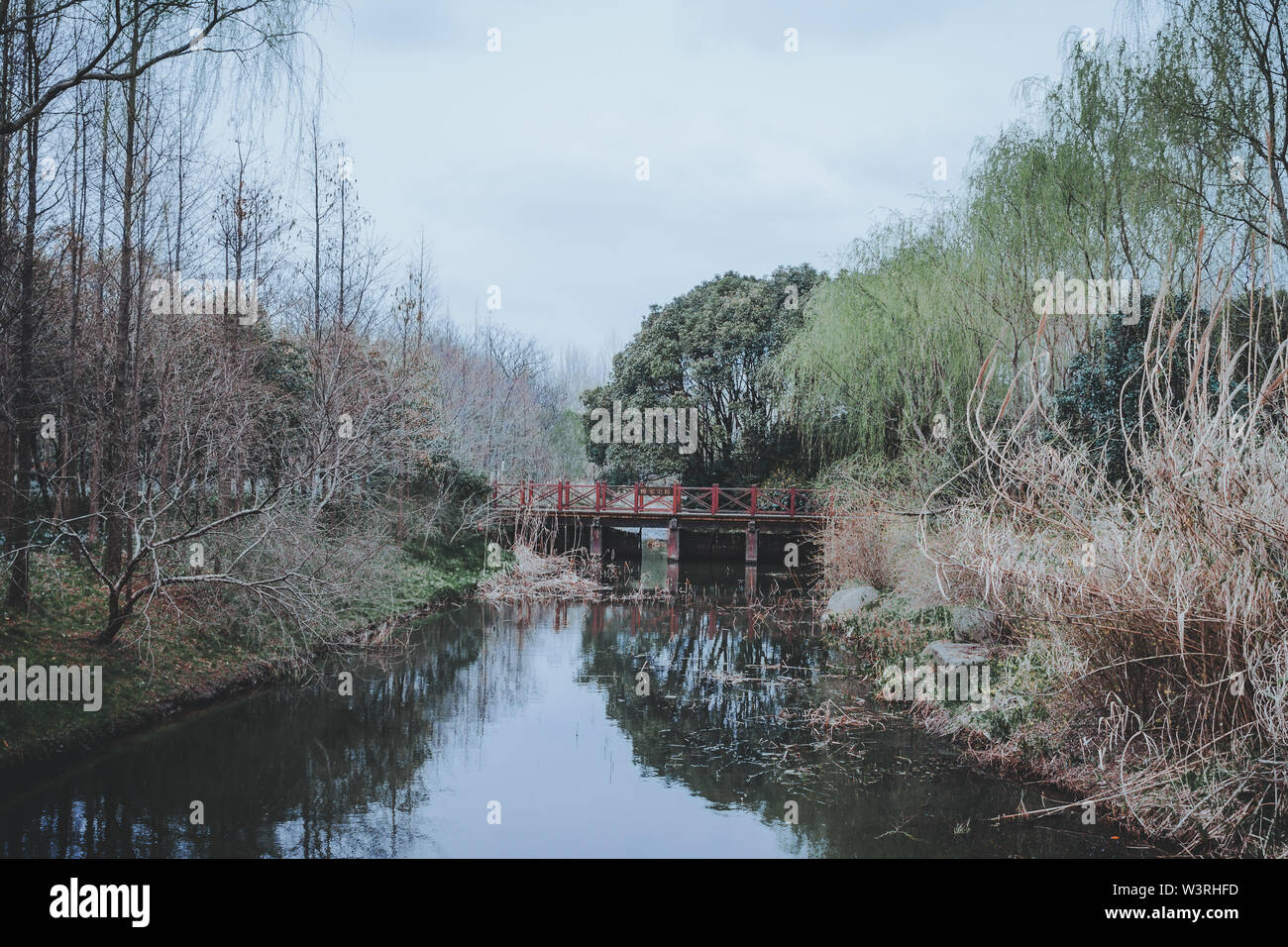scenes of nature and flora from Gucun Park in Shanghai, China Stock ...