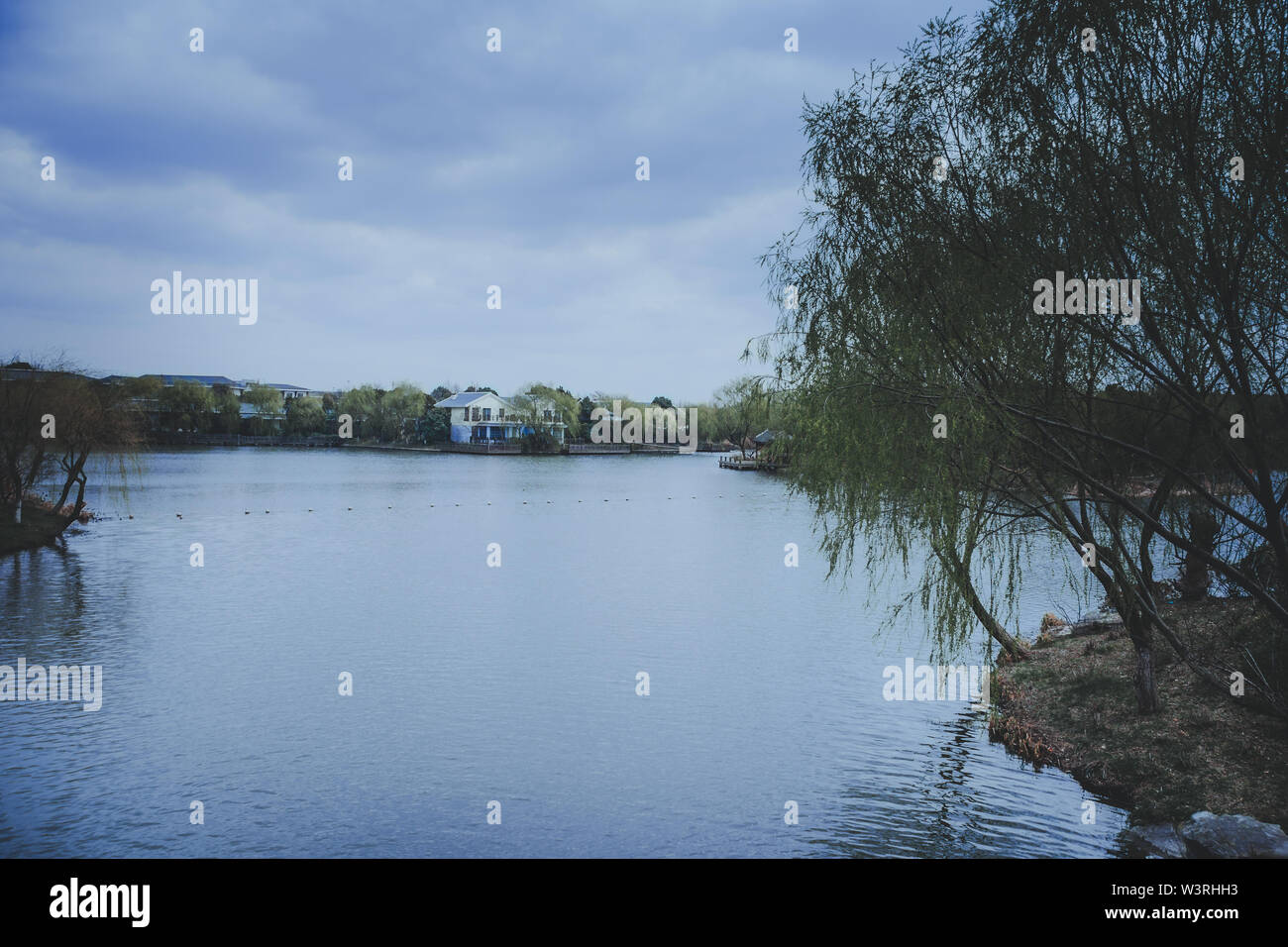 scenes of nature and flora from Gucun Park in Shanghai, China Stock ...