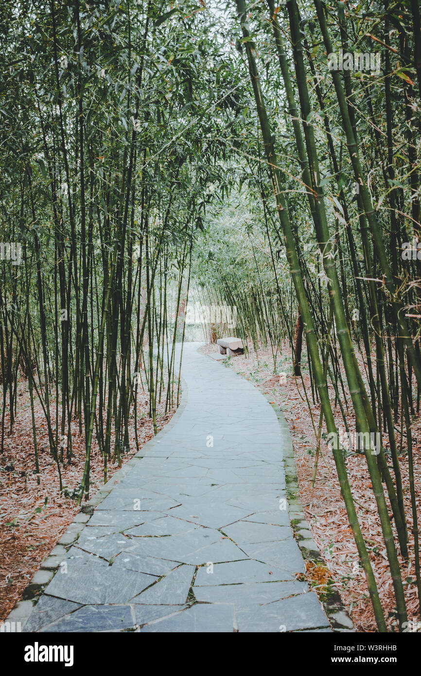 scenes of nature and flora from Gucun Park in Shanghai, China Stock ...