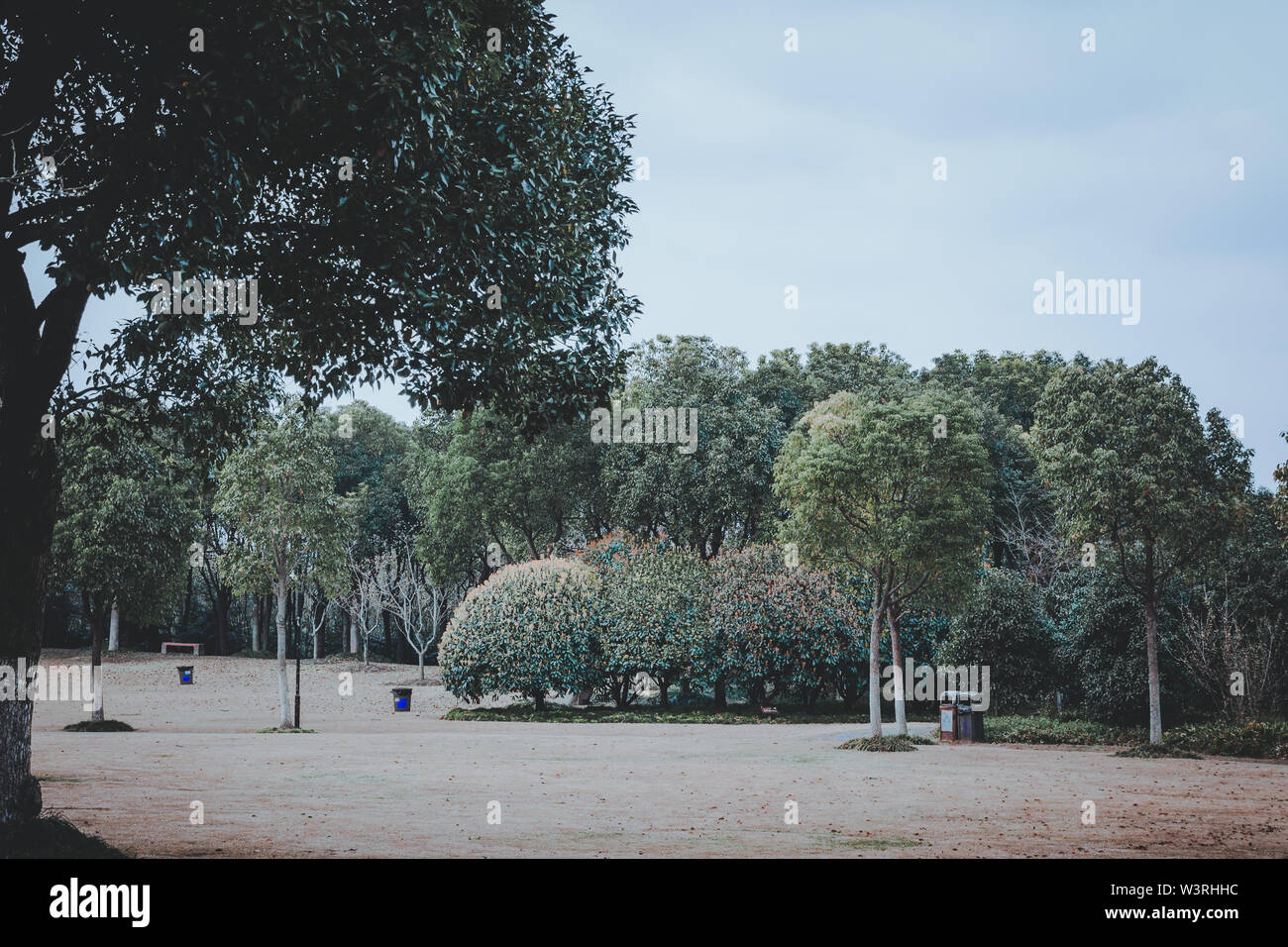 scenes of nature and flora from Gucun Park in Shanghai, China Stock ...