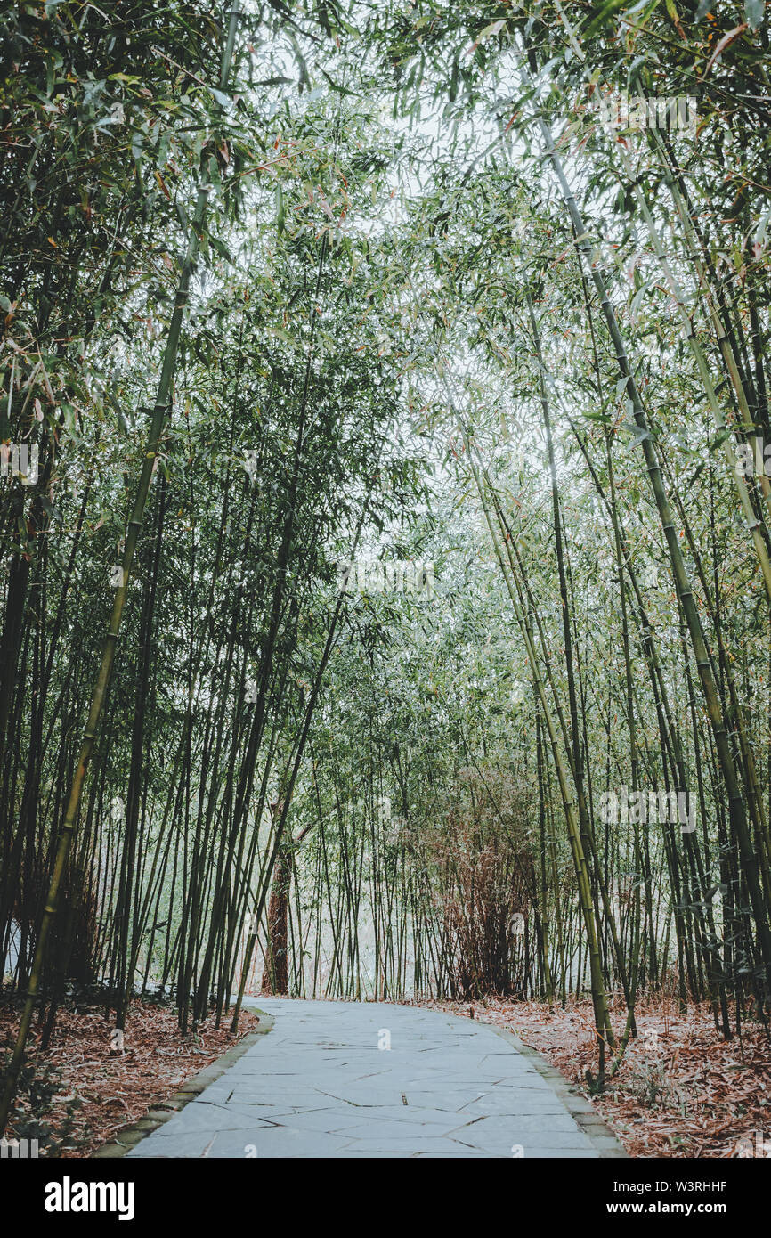 scenes of nature and flora from Gucun Park in Shanghai, China Stock ...