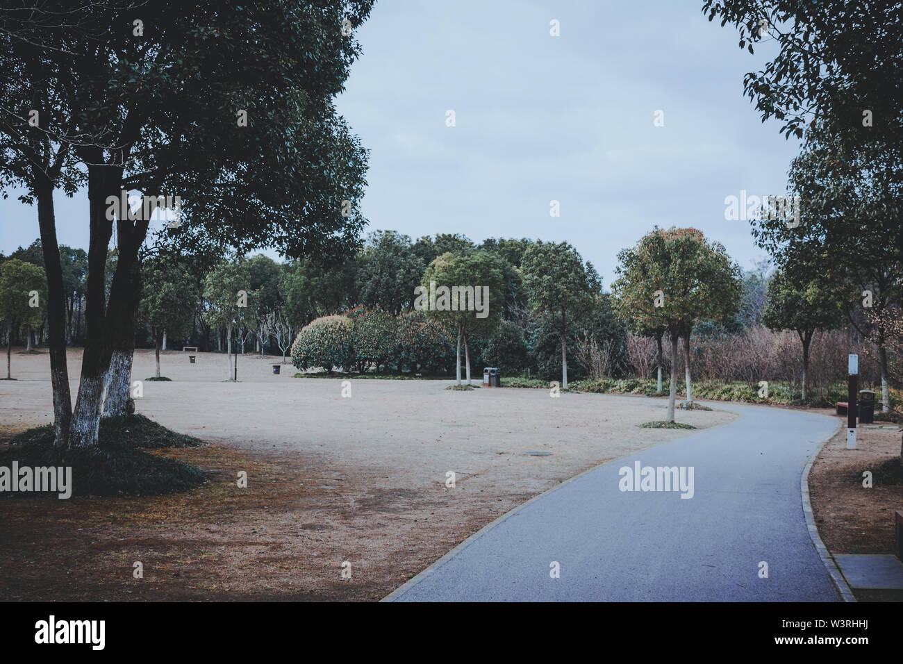 scenes of nature and flora from Gucun Park in Shanghai, China Stock ...