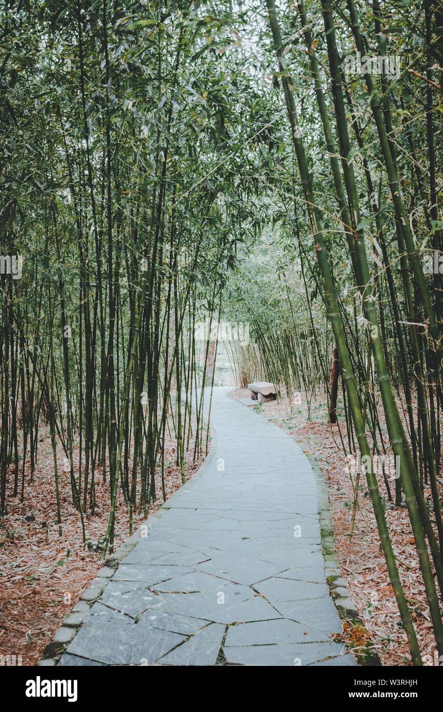scenes of nature and flora from Gucun Park in Shanghai, China Stock ...