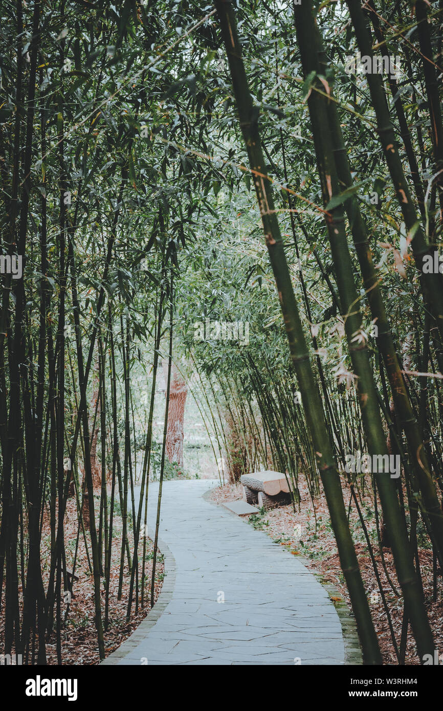 scenes of nature and flora from Gucun Park in Shanghai, China Stock ...