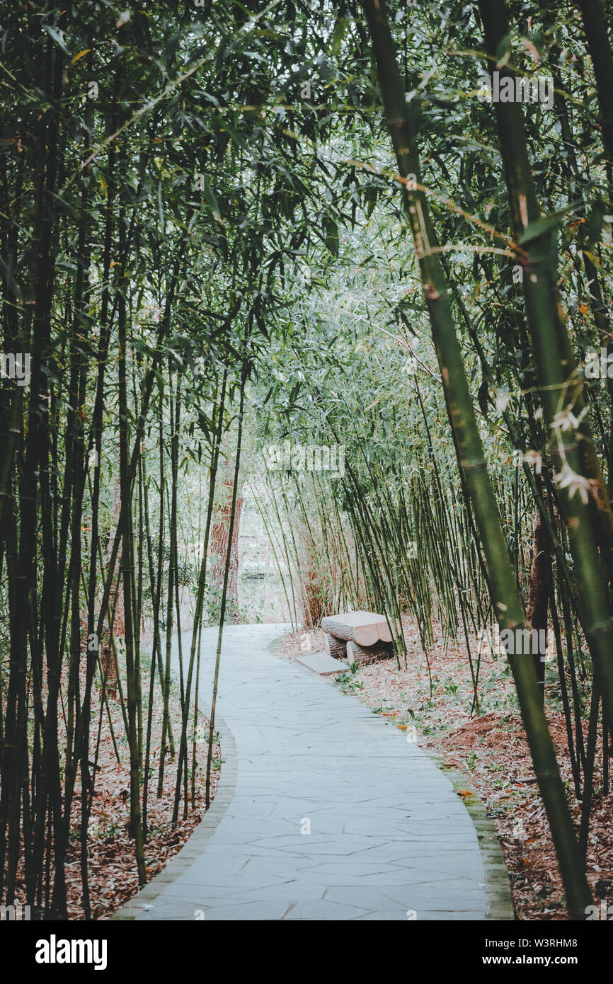 scenes of nature and flora from Gucun Park in Shanghai, China Stock ...