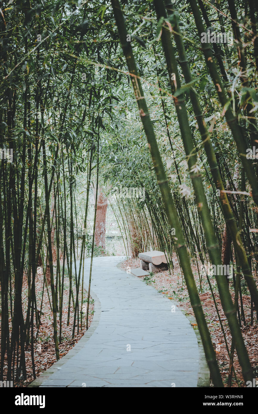 scenes of nature and flora from Gucun Park in Shanghai, China Stock ...